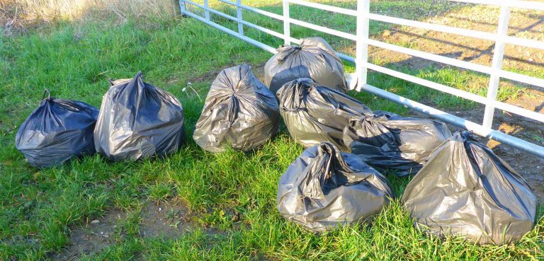 Litter picking on Swangleys Lane